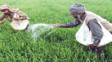 Urea Fertilizer Shortfall in Pakistan's Kharif Season - RangeInn