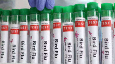 First Human Case of H5N2 Avian Influenza Confirmed in Mexico - RangeInn